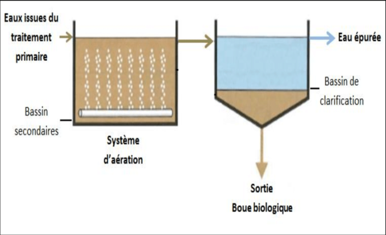 Quelles-sont les étapes de l'épuration des eaux usées